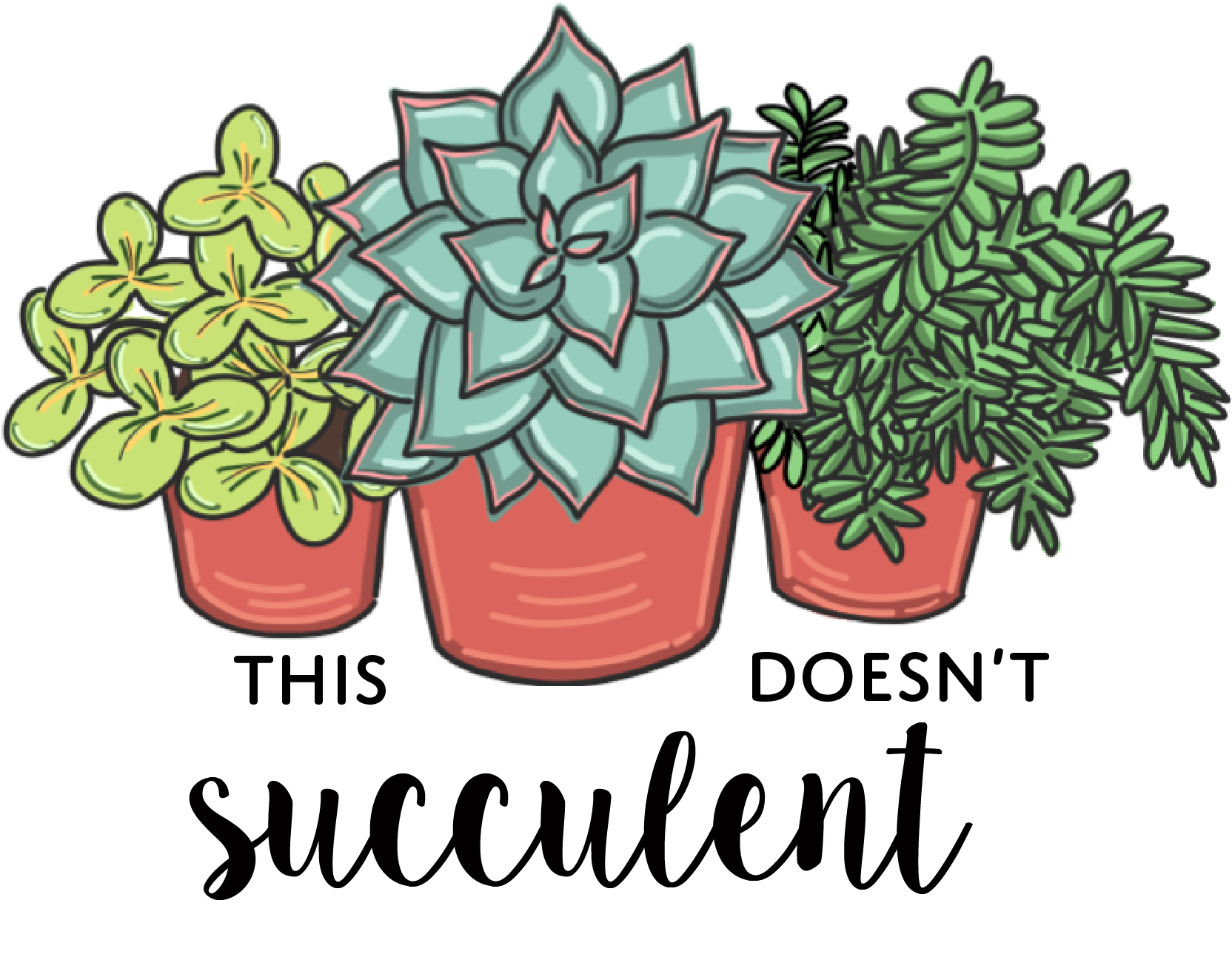 this doesn't succulent - shop online rare succulents cactus – This Doesn't Succulent